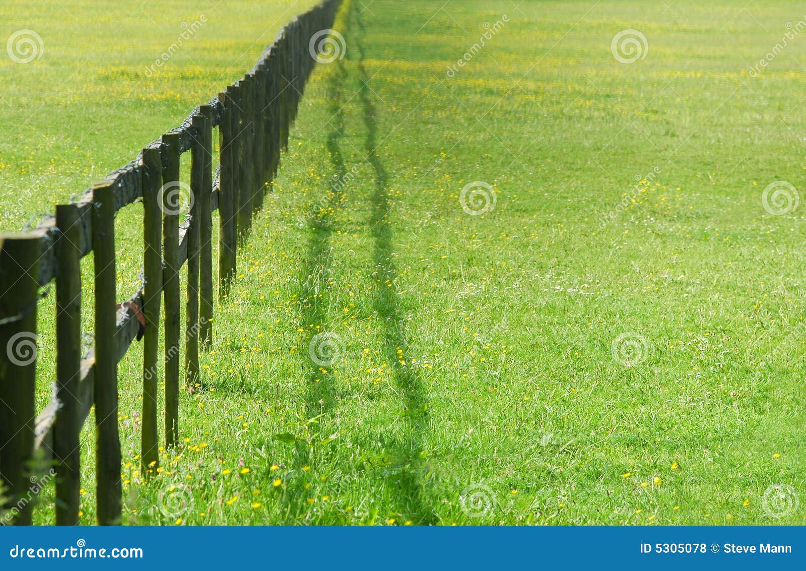 Fence perspective stock photo. Image of fencing, simplicity - 5305078