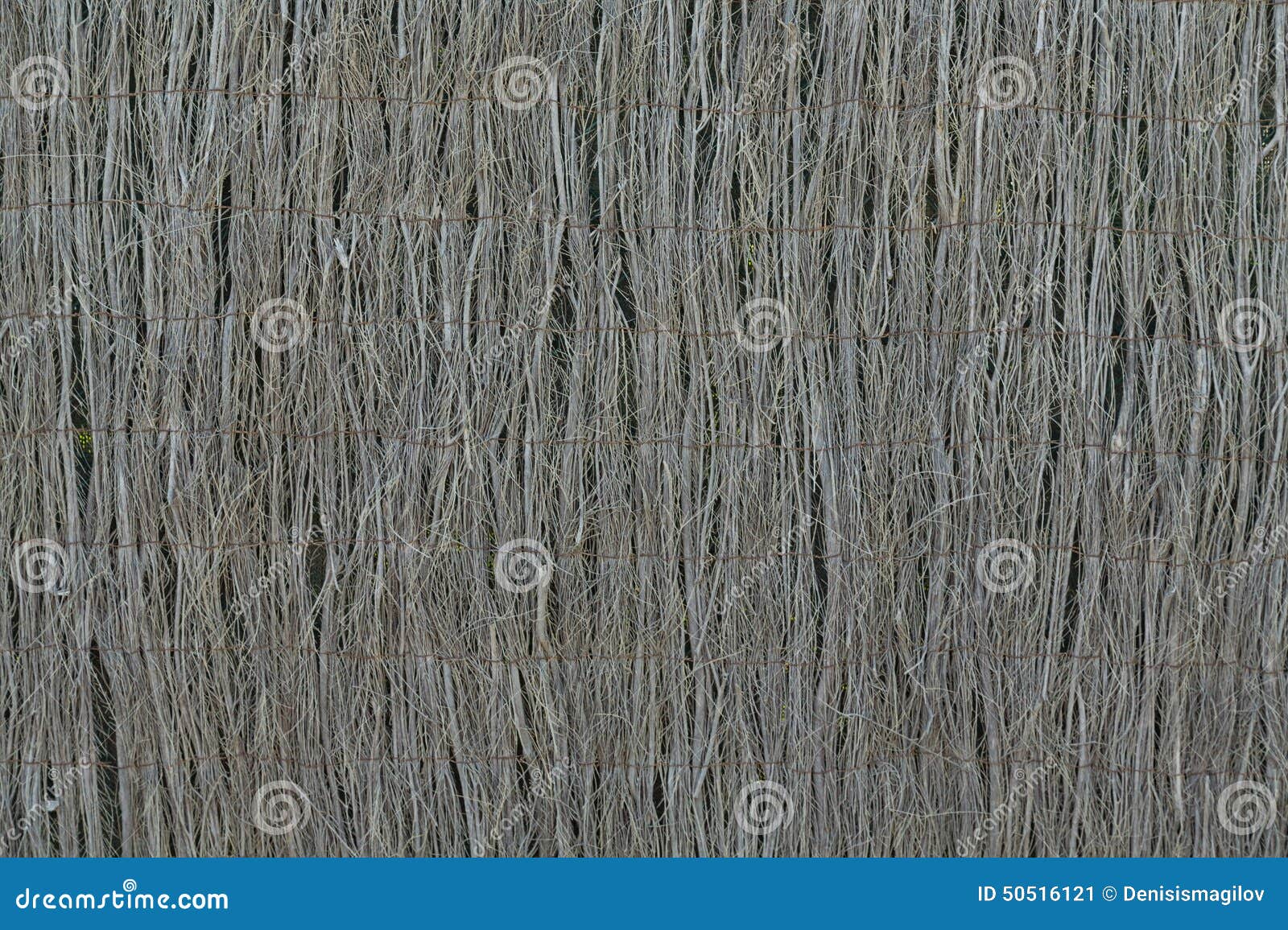 Fence plants stock image. Image of closeup, creep, wood - 50516121