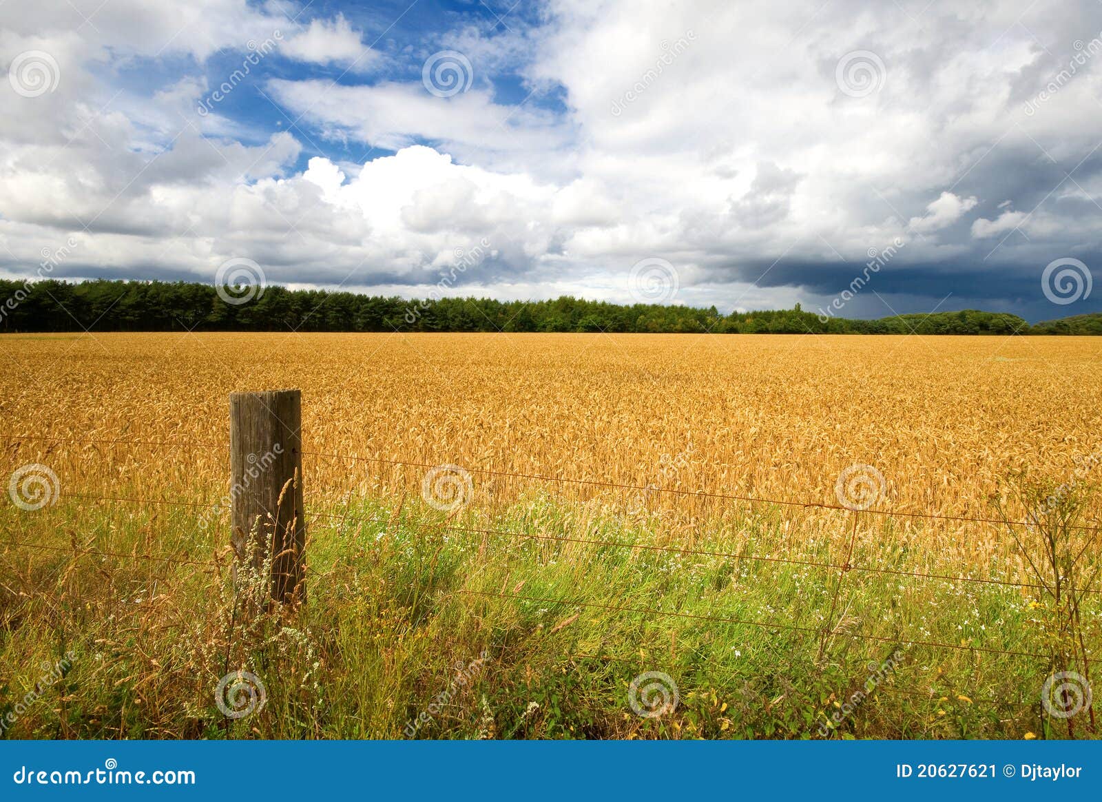 Fence post and hay field stock image. Image of grain - 20627621