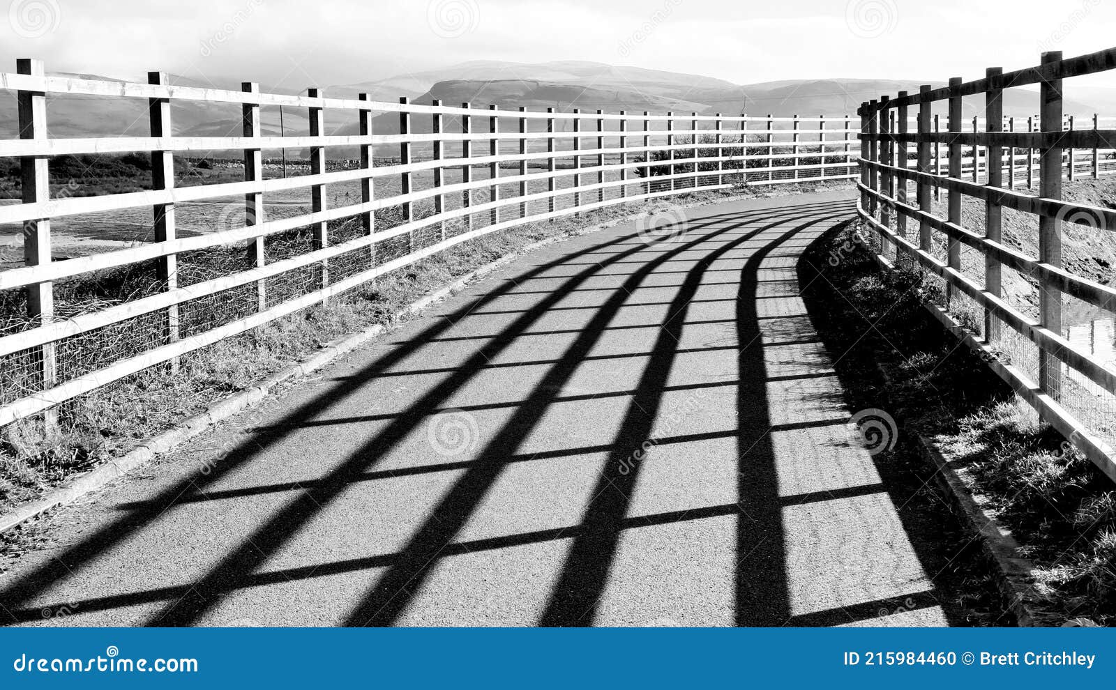 Lines Photography Examples