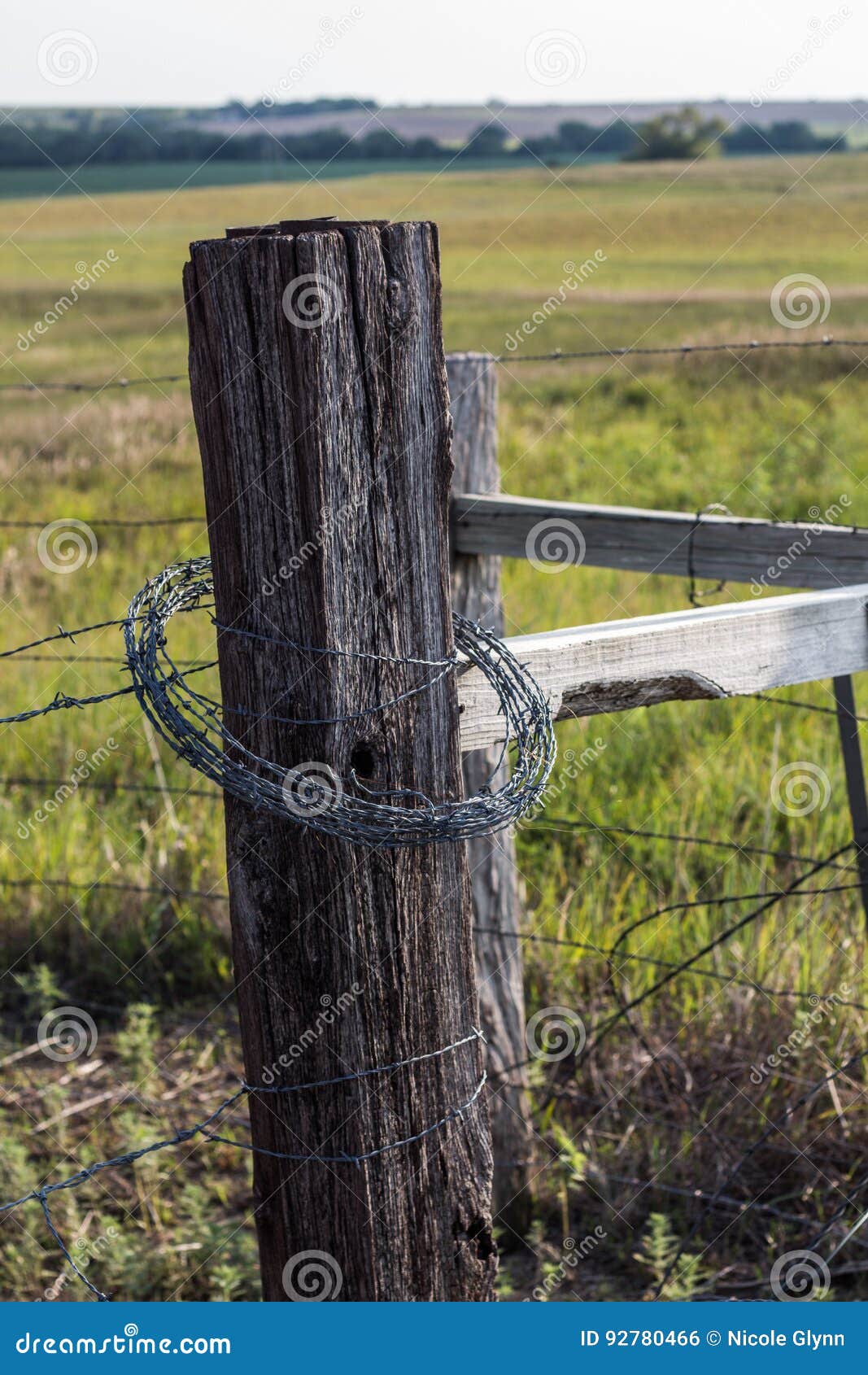 Fence post on the prairie stock photo. Image of western - 92780466