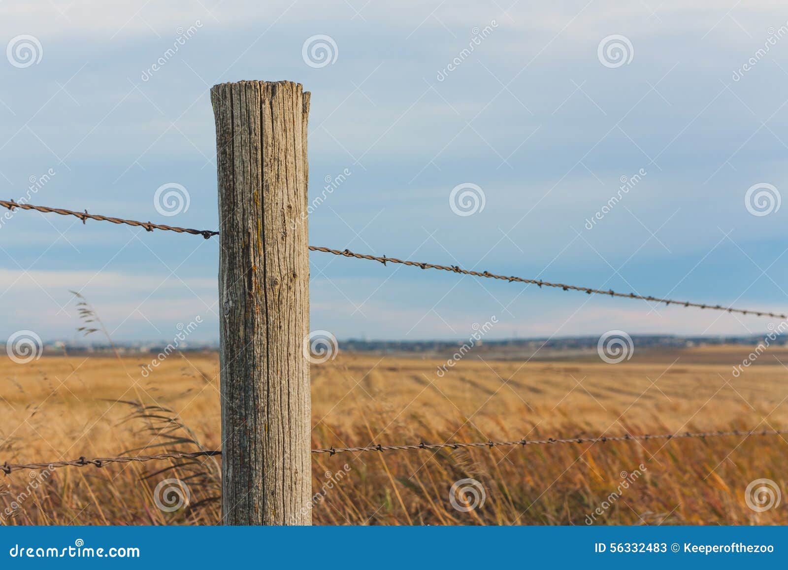 Fence Post in the Prairie stock image. Image of season - 56332483