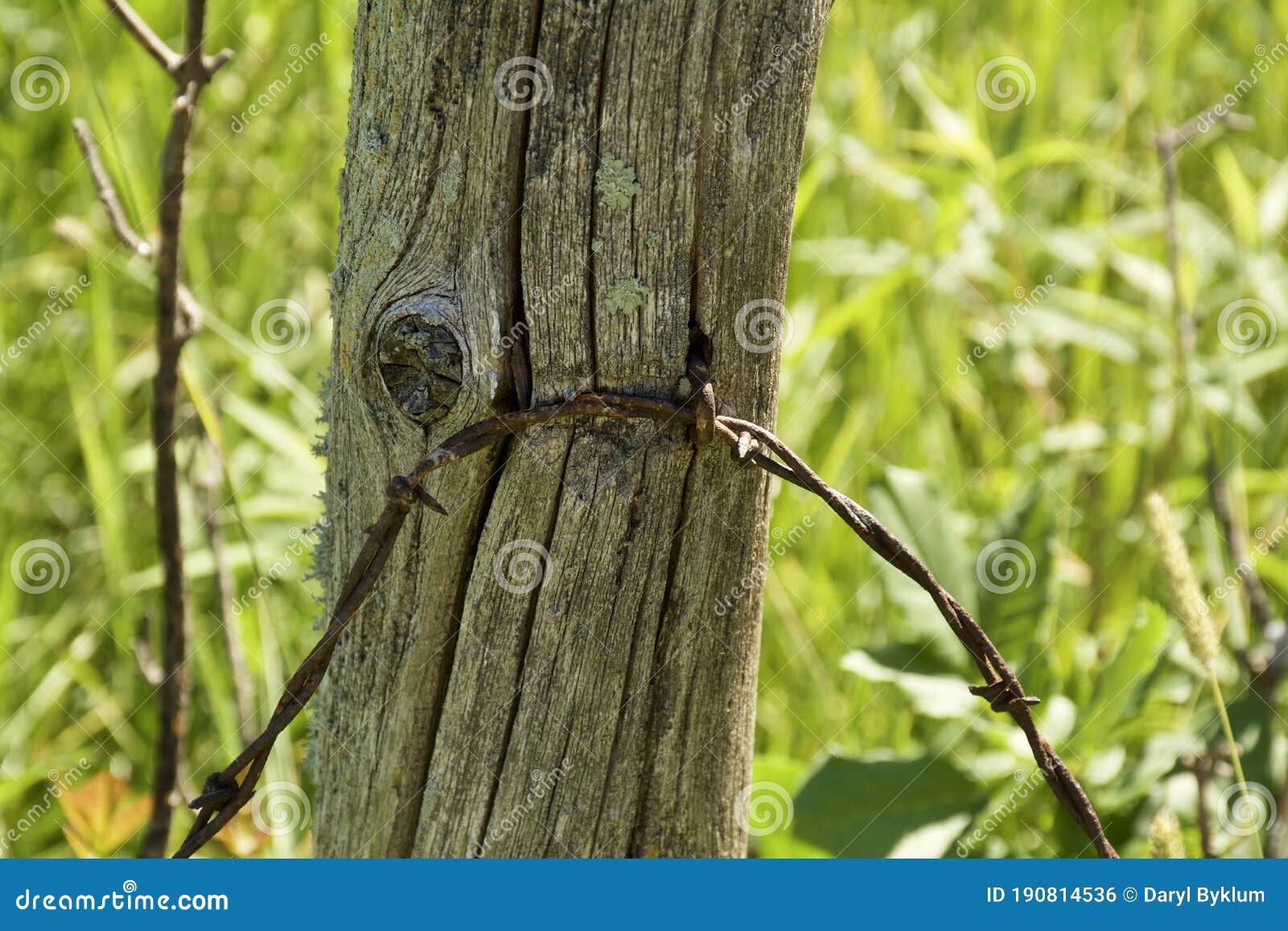 An Old Fence Post with Rusty Barbed Wire. Stock Photo - Image of ...