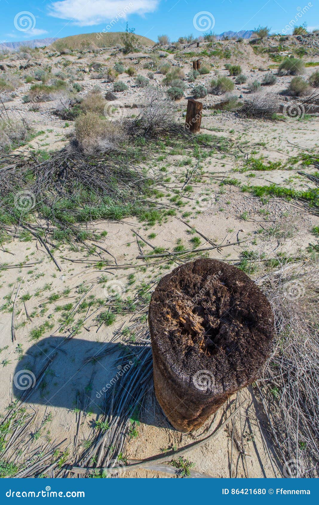 Fence Posts Form a Line Across the Desert Stock Photo - Image of barren ...