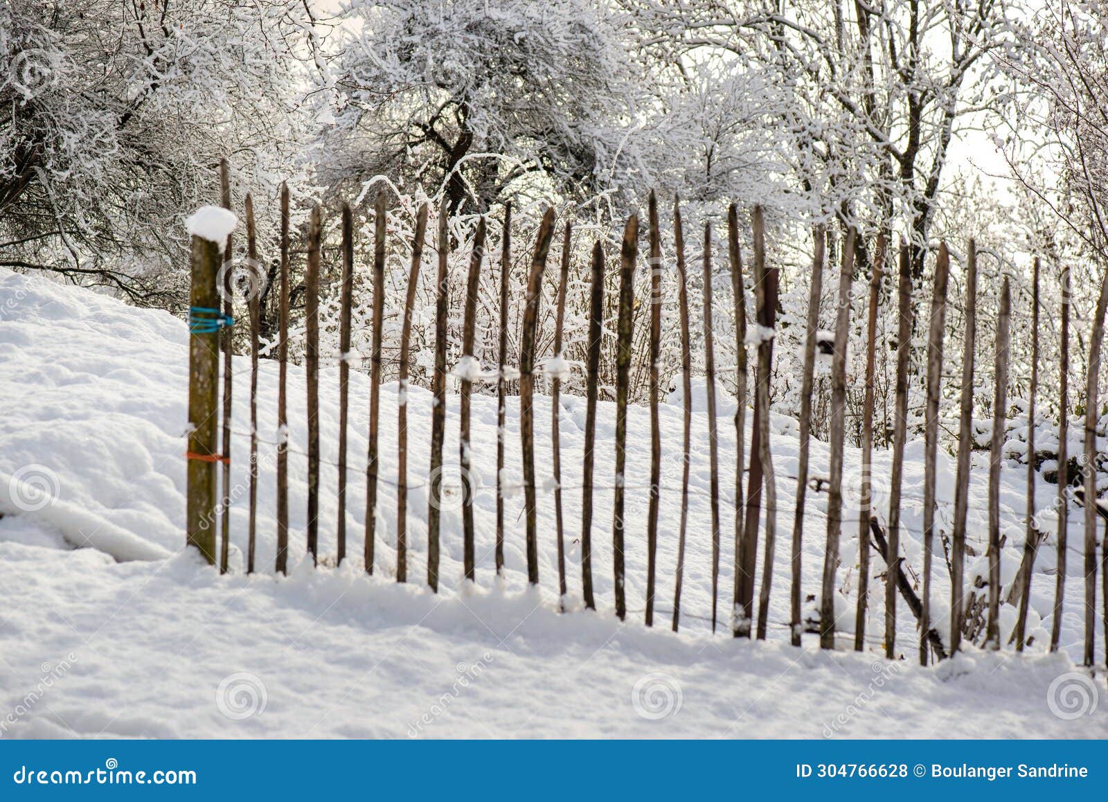 Fence Posts in Front of Trees in a Snowy Garden Stock Photo - Image of ...
