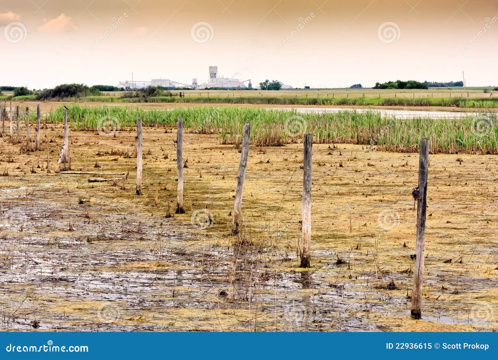 Fence Posts in Water stock image. Image of wood, country - 22936615