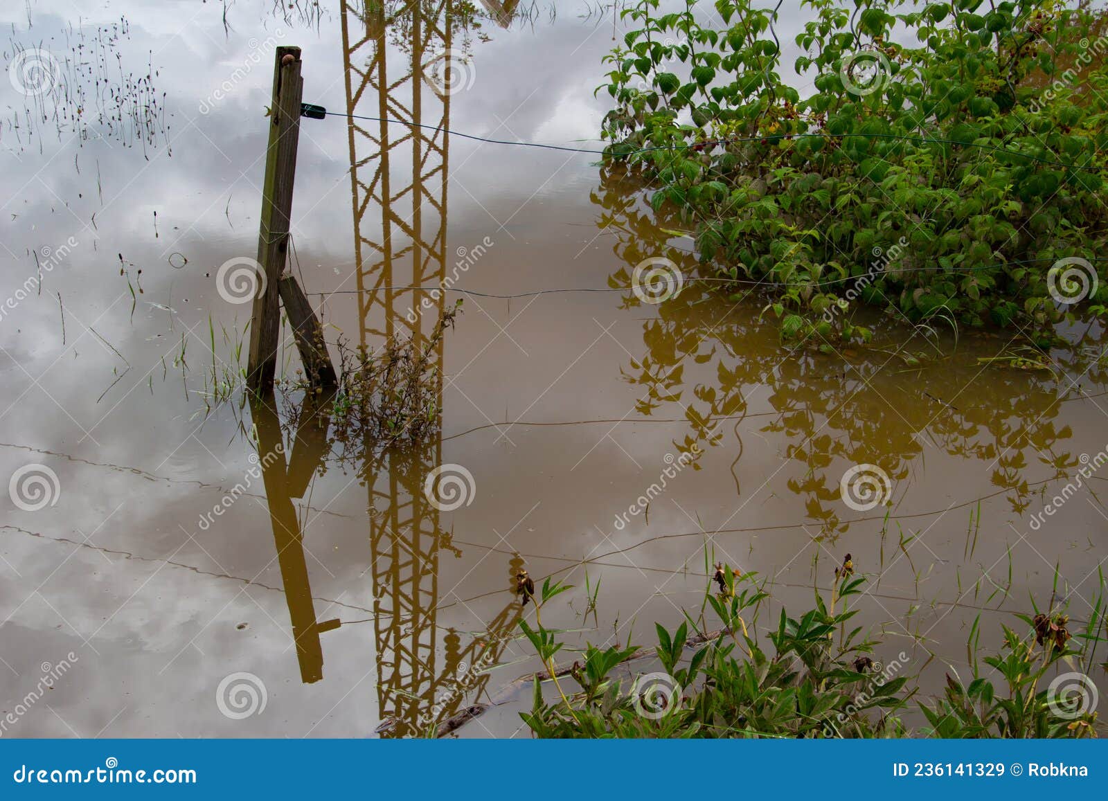 Fence and Power Pole Reflecting in the Water after a Flood Stock Image ...