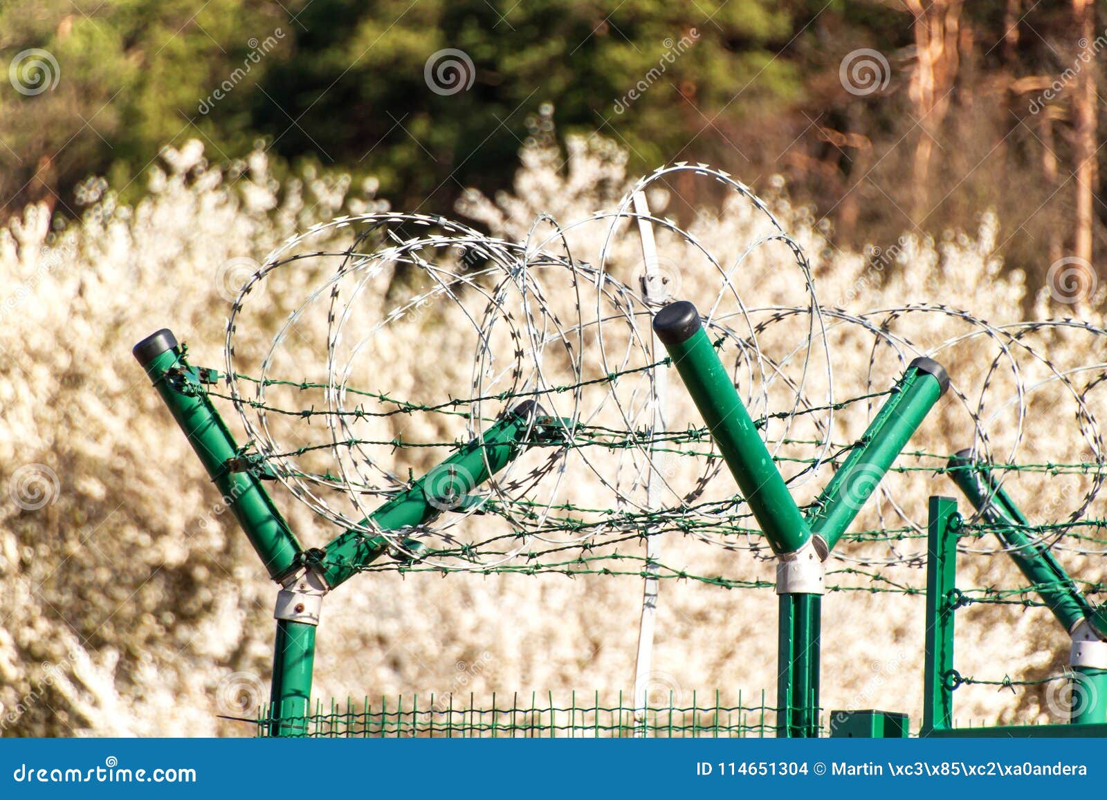 Fence with Razor Barbed Wire. Guarded Area. Military Base. Razor Wire ...