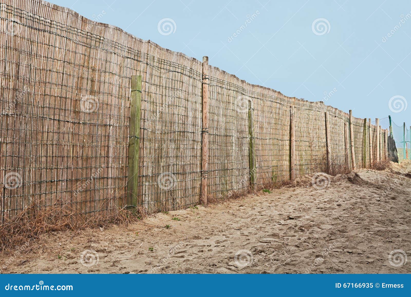 Fence of reed in the beach stock image. Image of rush - 67166935