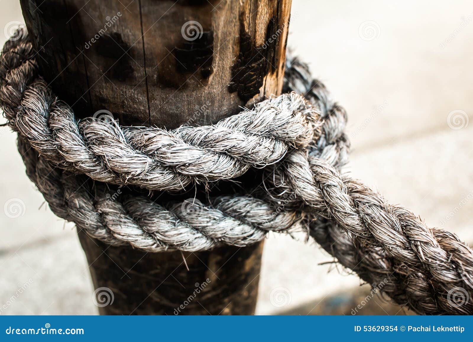 Fence with rope stock photo. Image of timber, wood, hardwood - 53629354