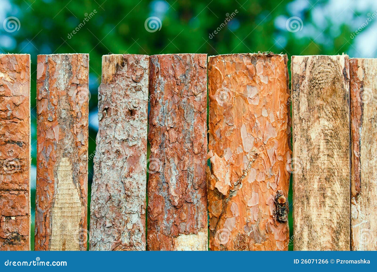 Pine Boards Different Textures Fit Tightly. Stock Photo | CartoonDealer ...