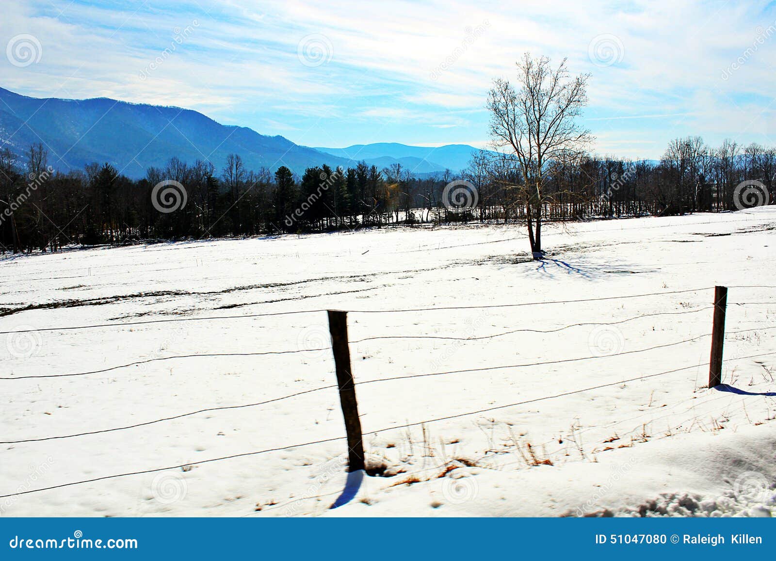 Fence Row in Front of Mountains Stock Photo - Image of colonial ...