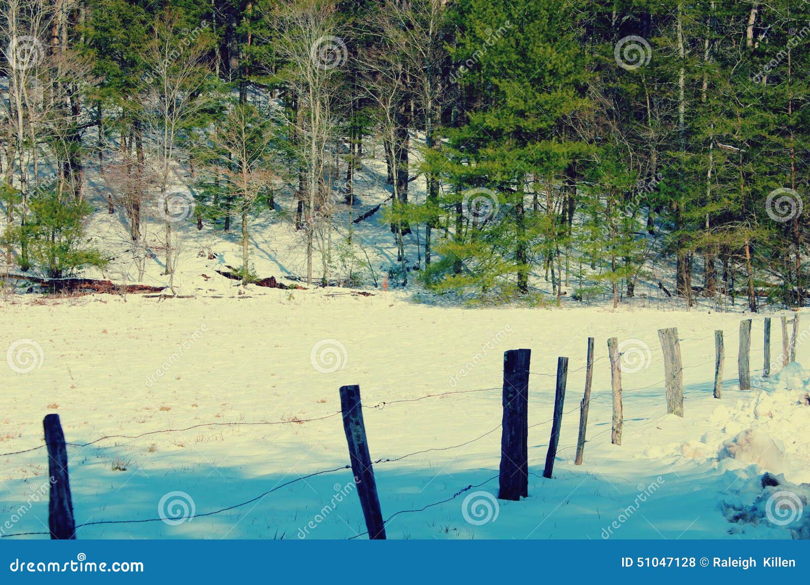 Fence row stock photo. Image of farm, fence, hill, house - 51047128