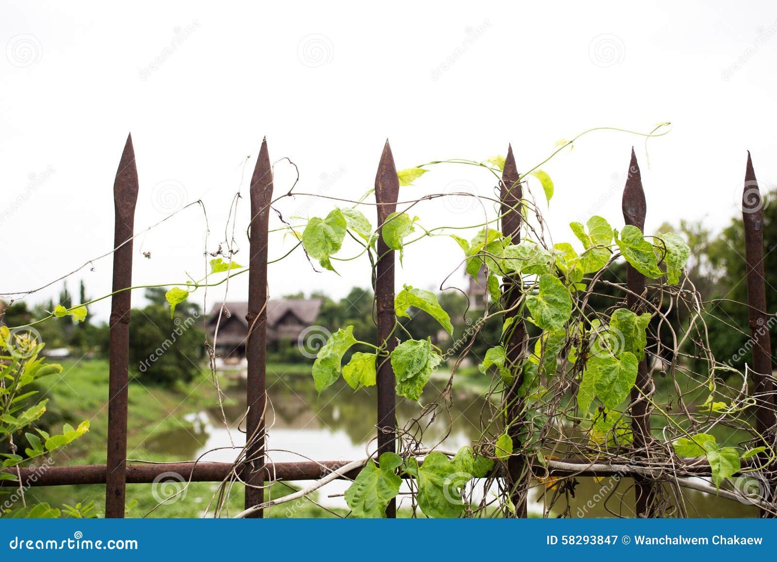Fence Scary Halloween , an Old Cemetery Fenced Stock Image - Image of ...