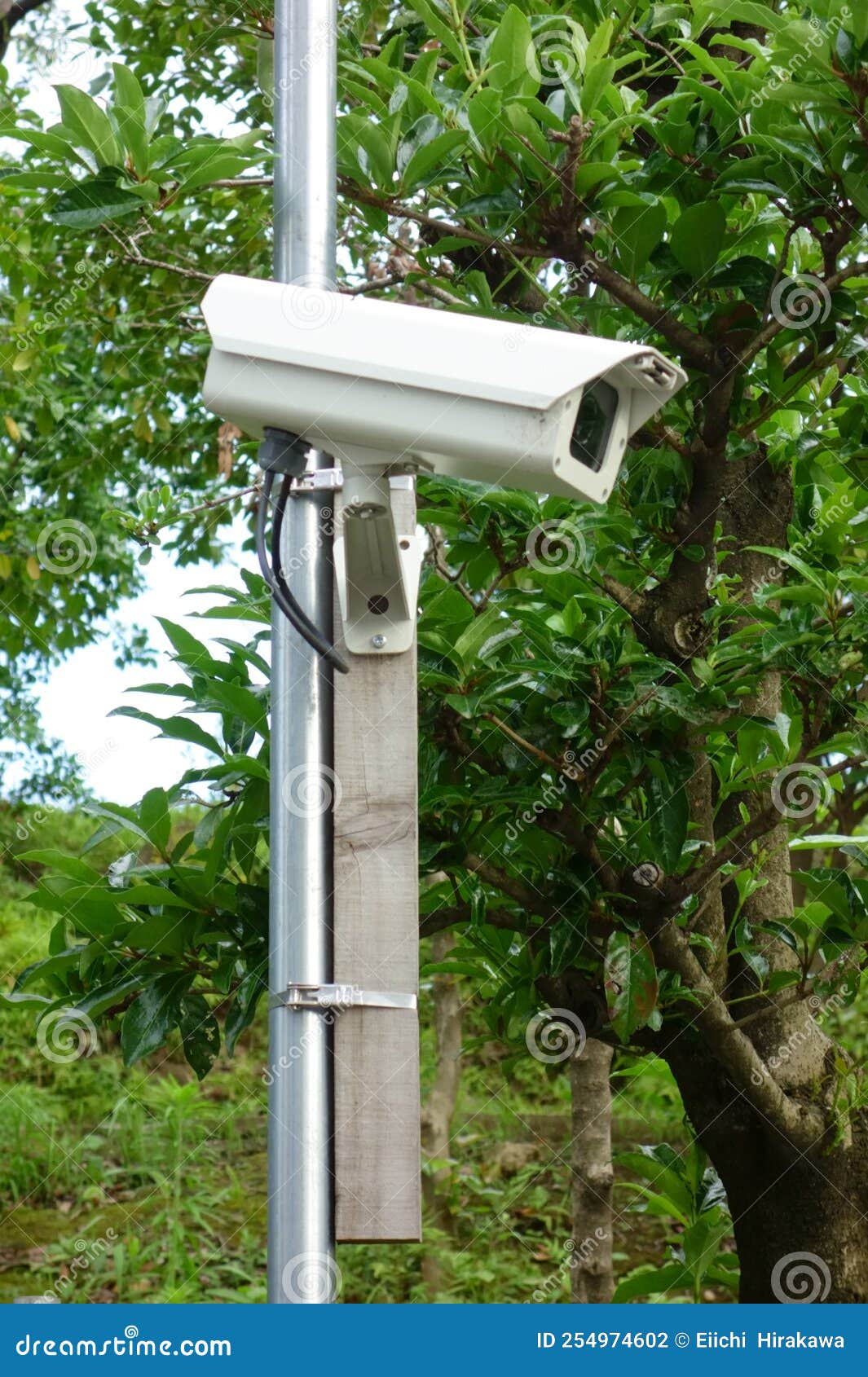 In-fence security tools stock photo. Image of street - 254974602