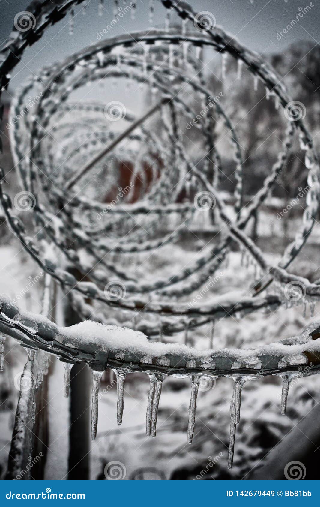 Fence with Sharp Barbed Wire Stock Image - Image of enclosure, military ...