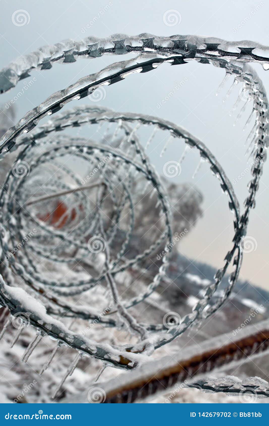 Fence with Sharp Barbed Wire Stock Photo - Image of guard, danger ...