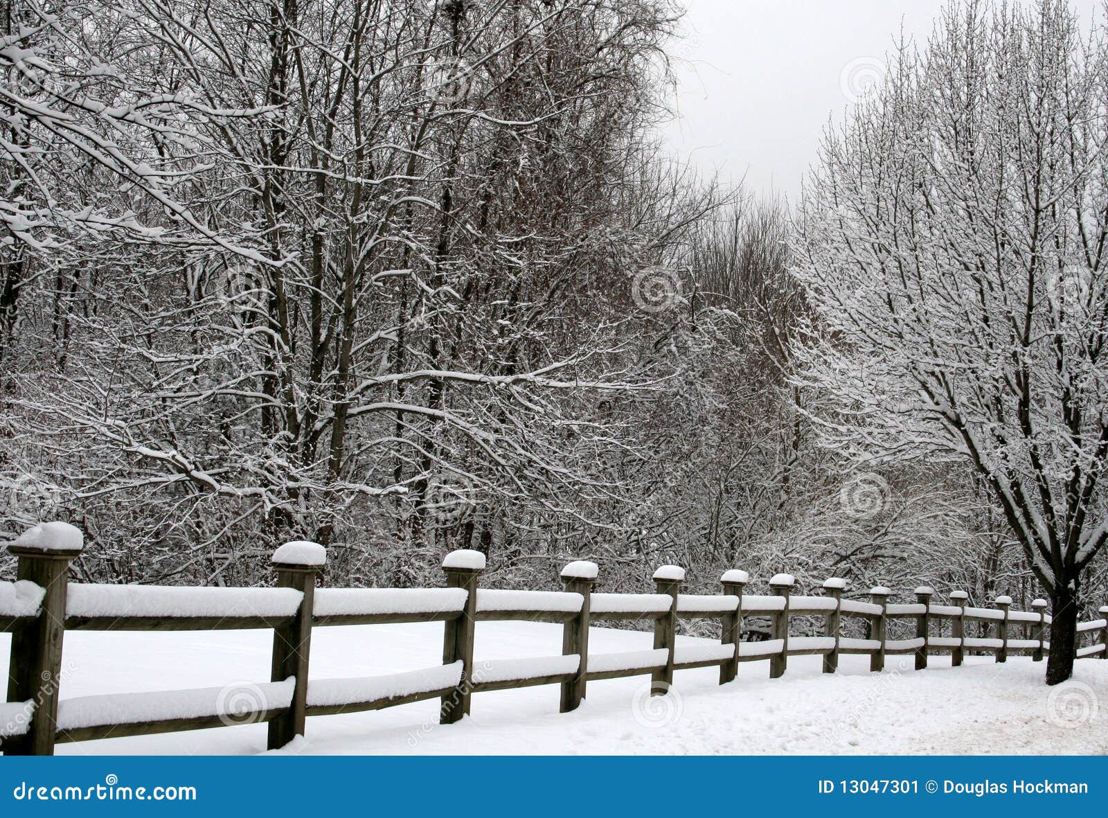 Fence in Snow stock image. Image of snow, woods, trees - 13047301