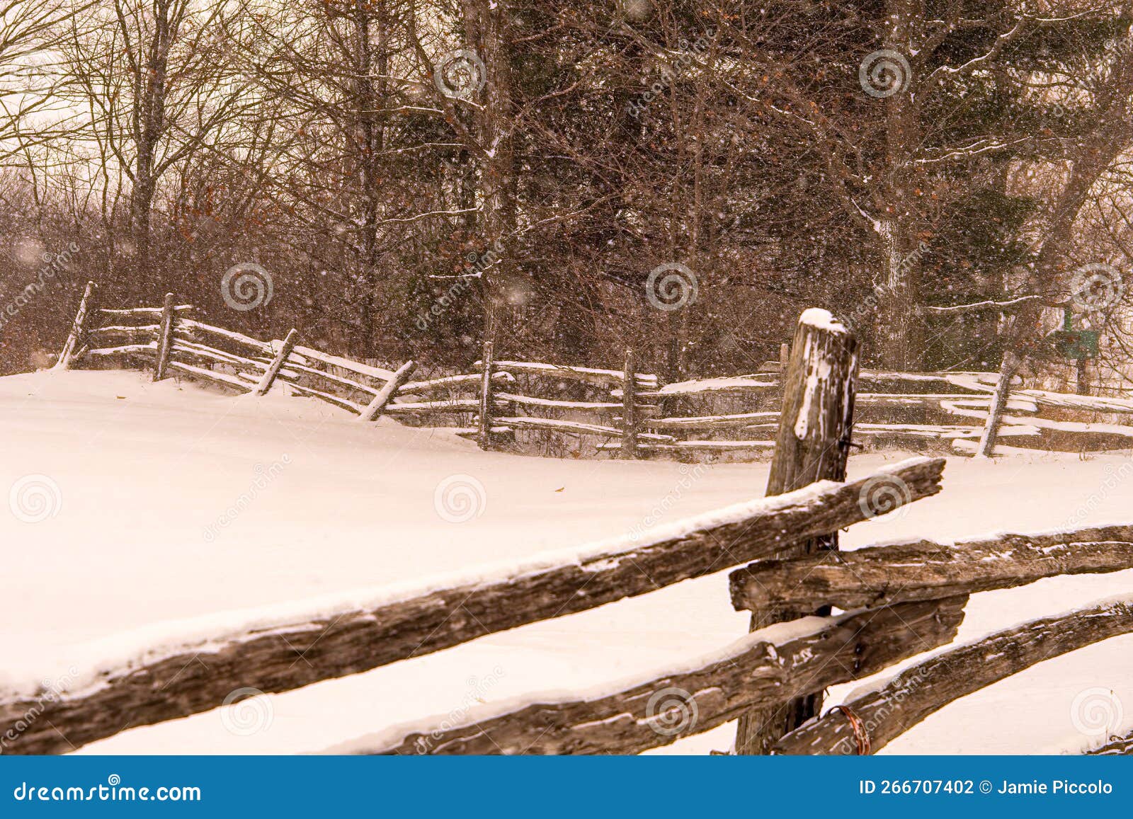 Fence in snow stock photo. Image of spring, wood, plant - 266707402