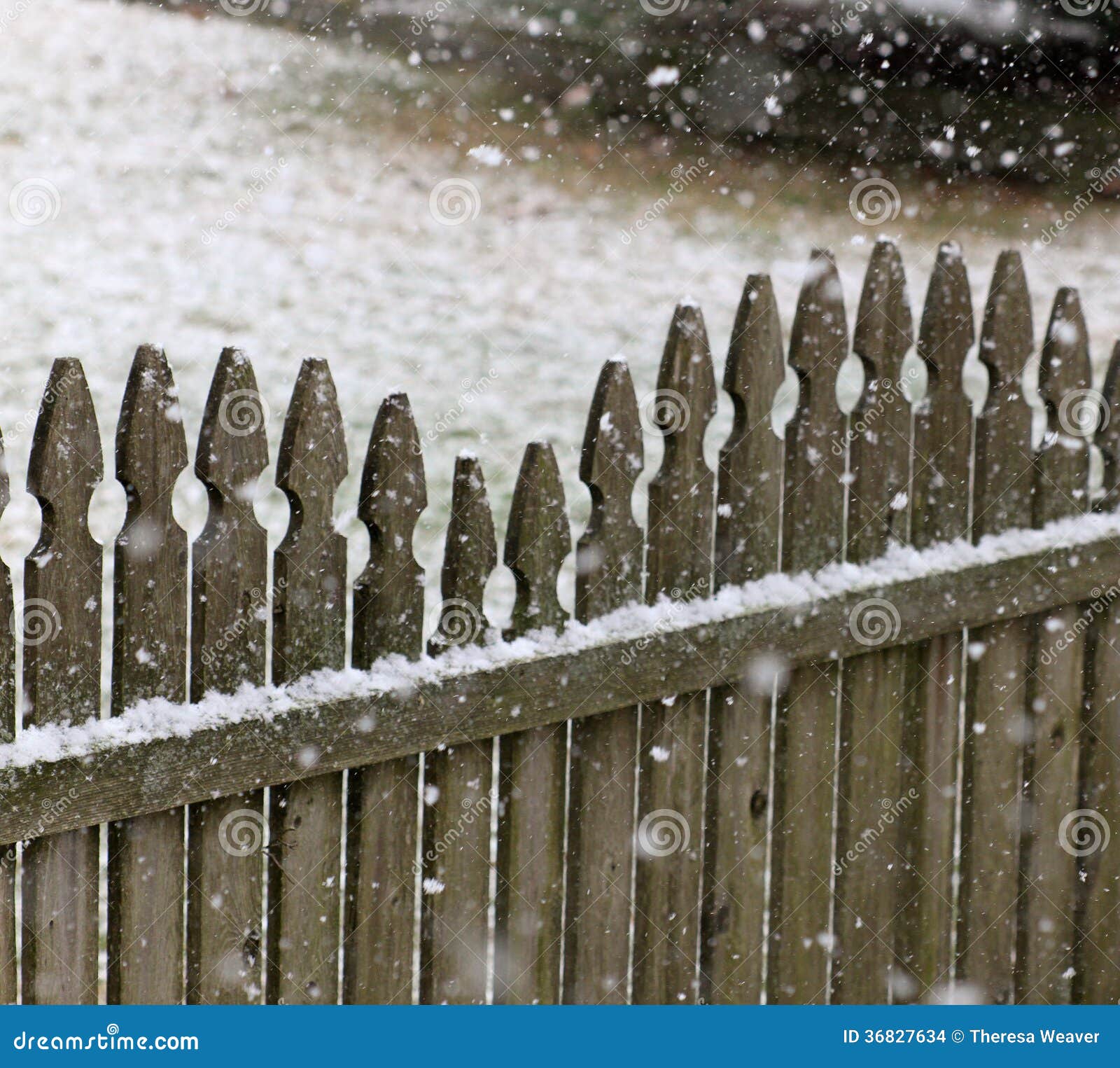 Fence in Snow stock photo. Image of snowflakes, effect - 36827634