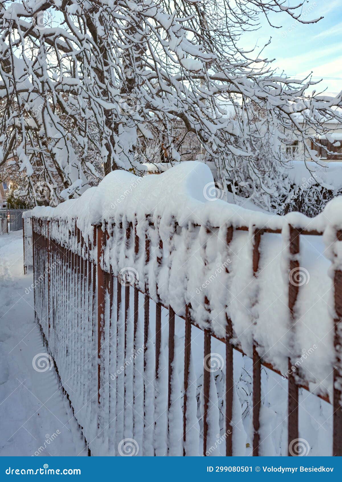 Fence in the snow stock image. Image of trees, season - 299080501