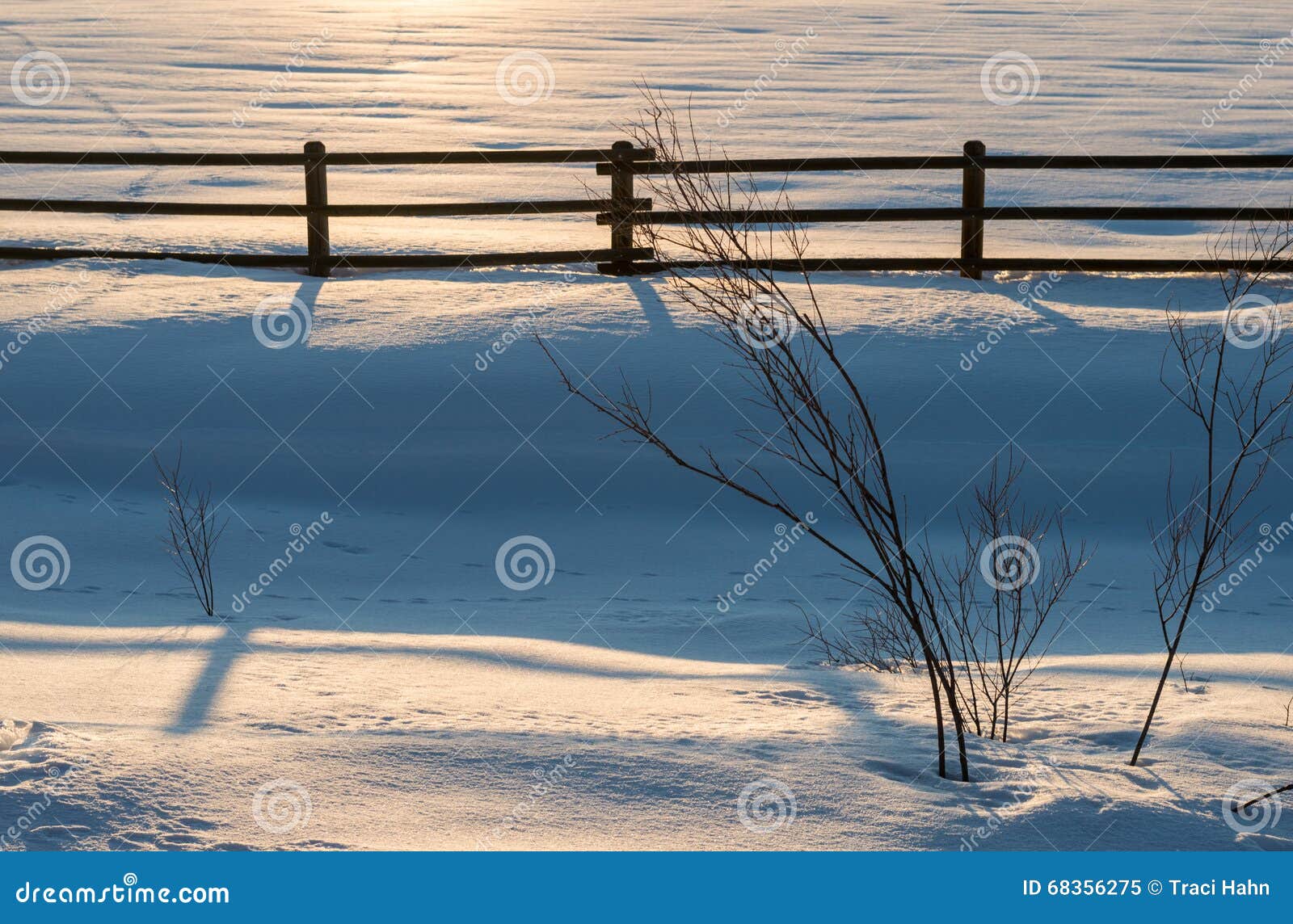 Fence in the Snow in the Sunsets Fading Light. Stock Image - Image of ...