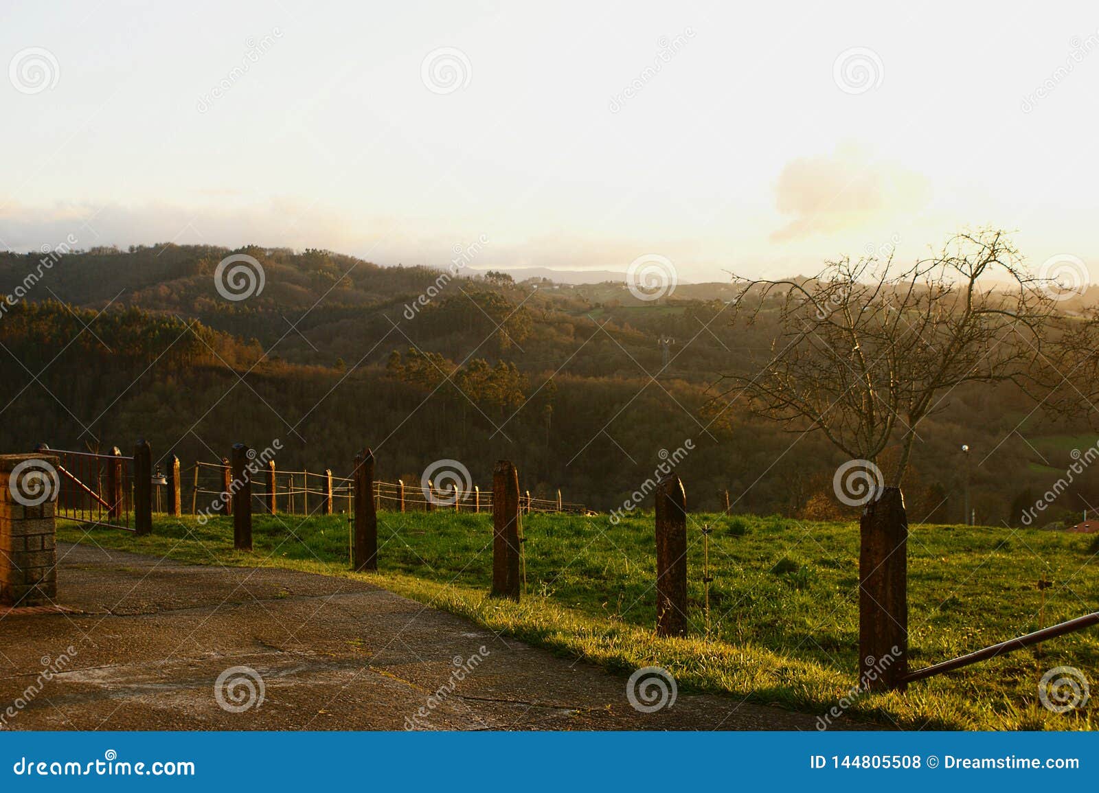 Fence in Spain stock photo. Image of pasture, farmland - 144805508