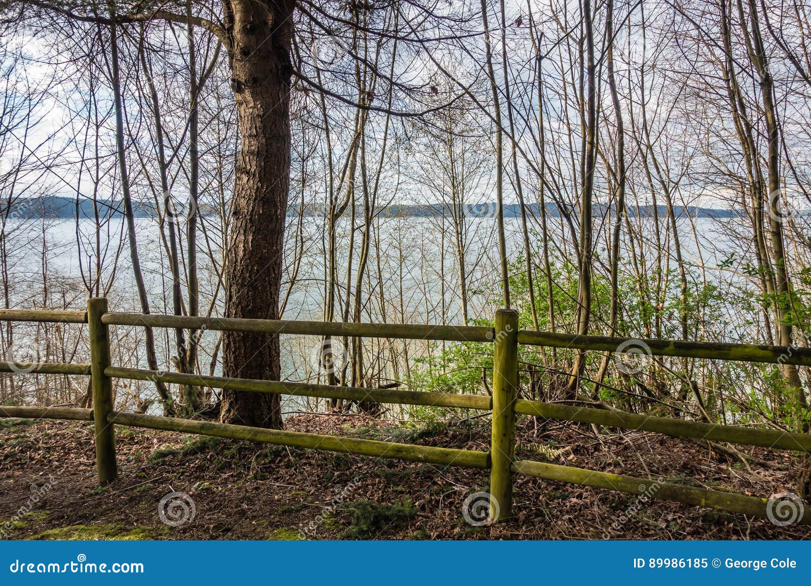 Fence and Spring Trees stock image. Image of wooden, puget - 89986185
