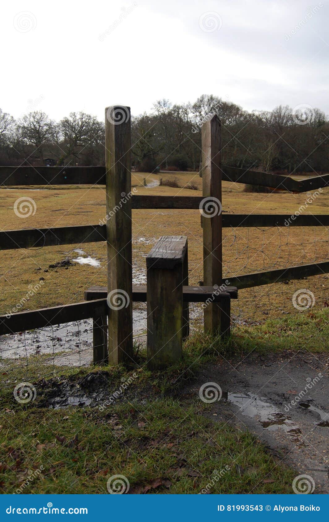 Fence Stile in New Forest National Park, Ashurst, UK Stock Image ...
