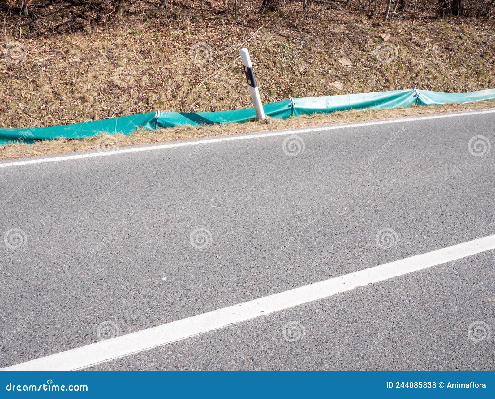 Fence To Protect Frogs from the Road Stock Photo - Image of spring ...