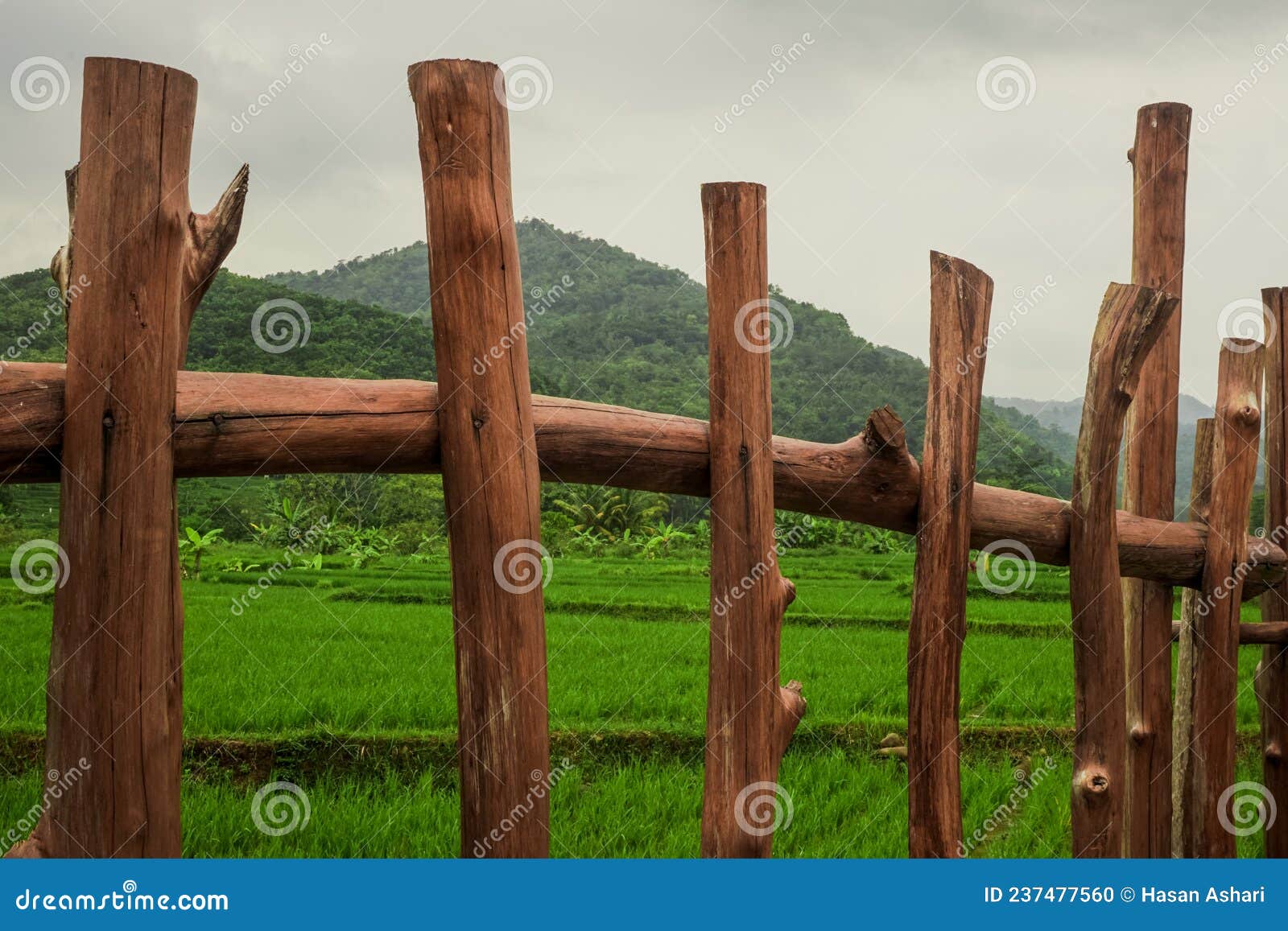 Fence of Tree Trunks with Rice Fields and Mountains in the Background ...