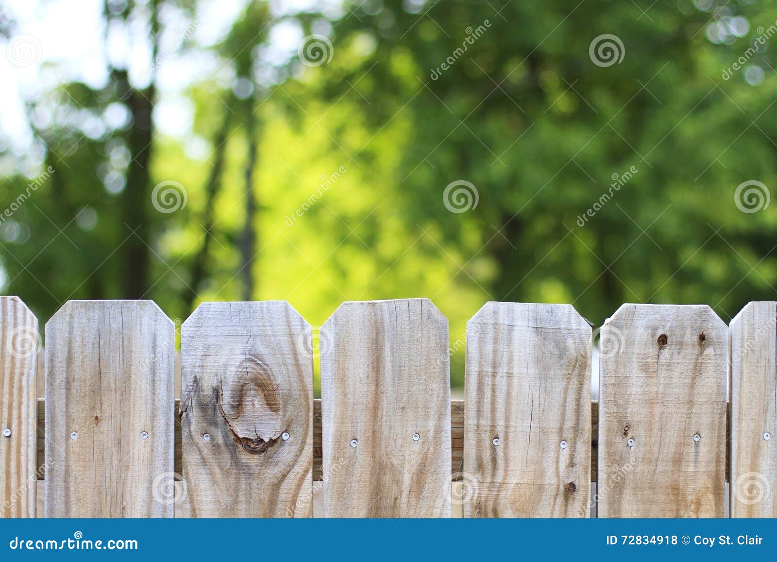 Fence and Trees Outdoors Backyard Background Stock Photo - Image of ...