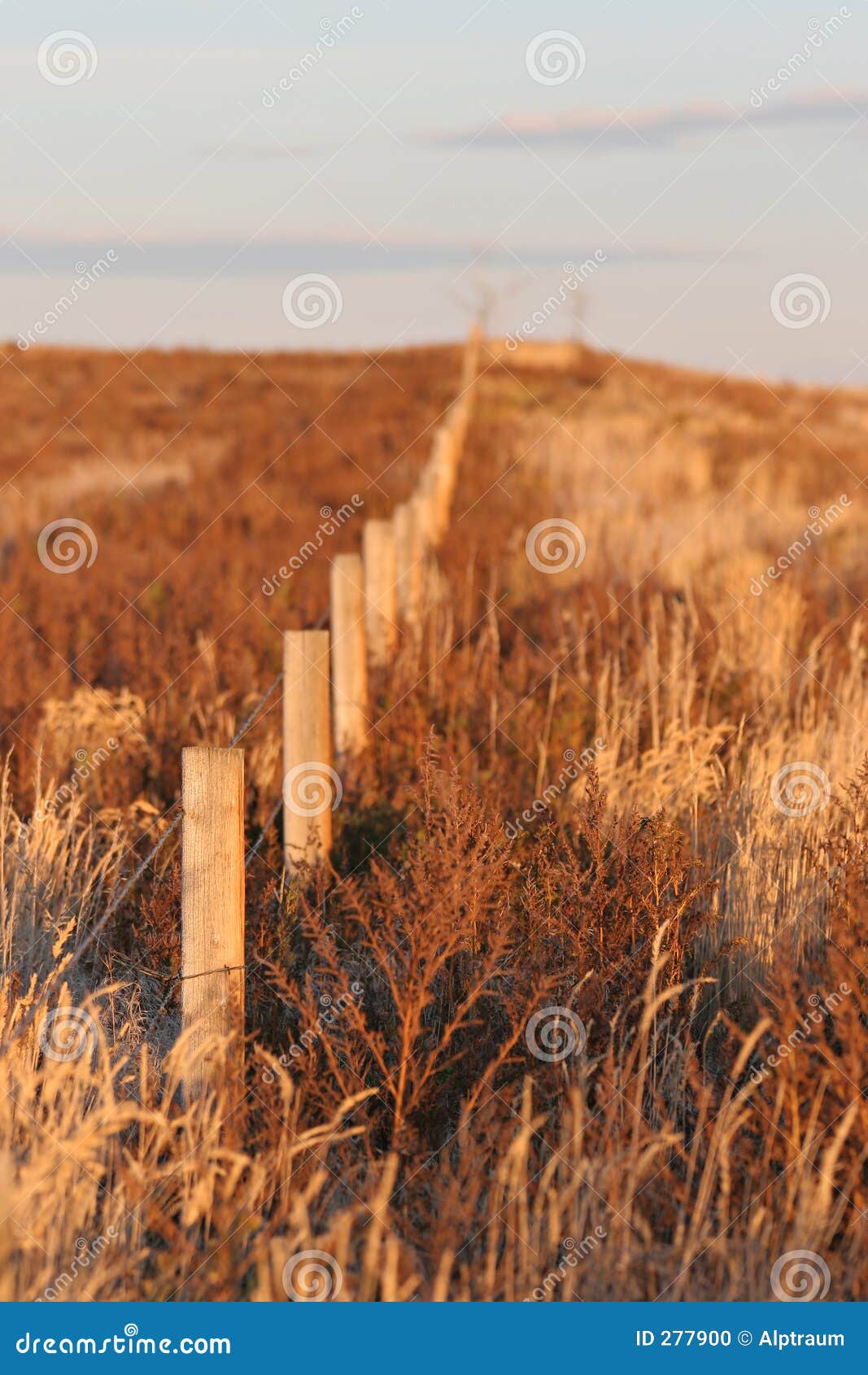 Fence uphill stock photo. Image of fence, barbed, rural - 277900