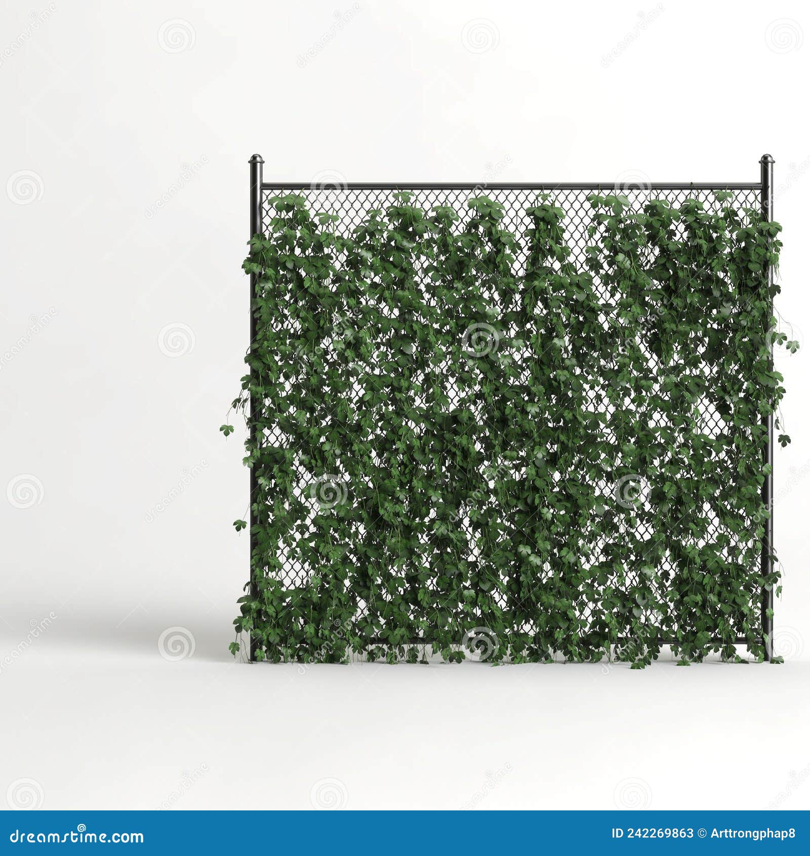 Fence Of Vines Isolated On Light Background Royalty-Free Stock Photo ...