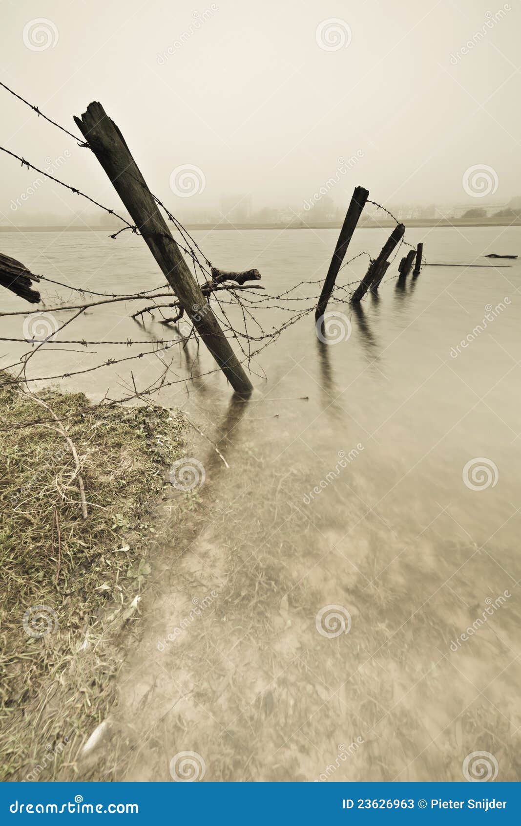 Fence in water stock image. Image of rhine, mist, scene - 23626963