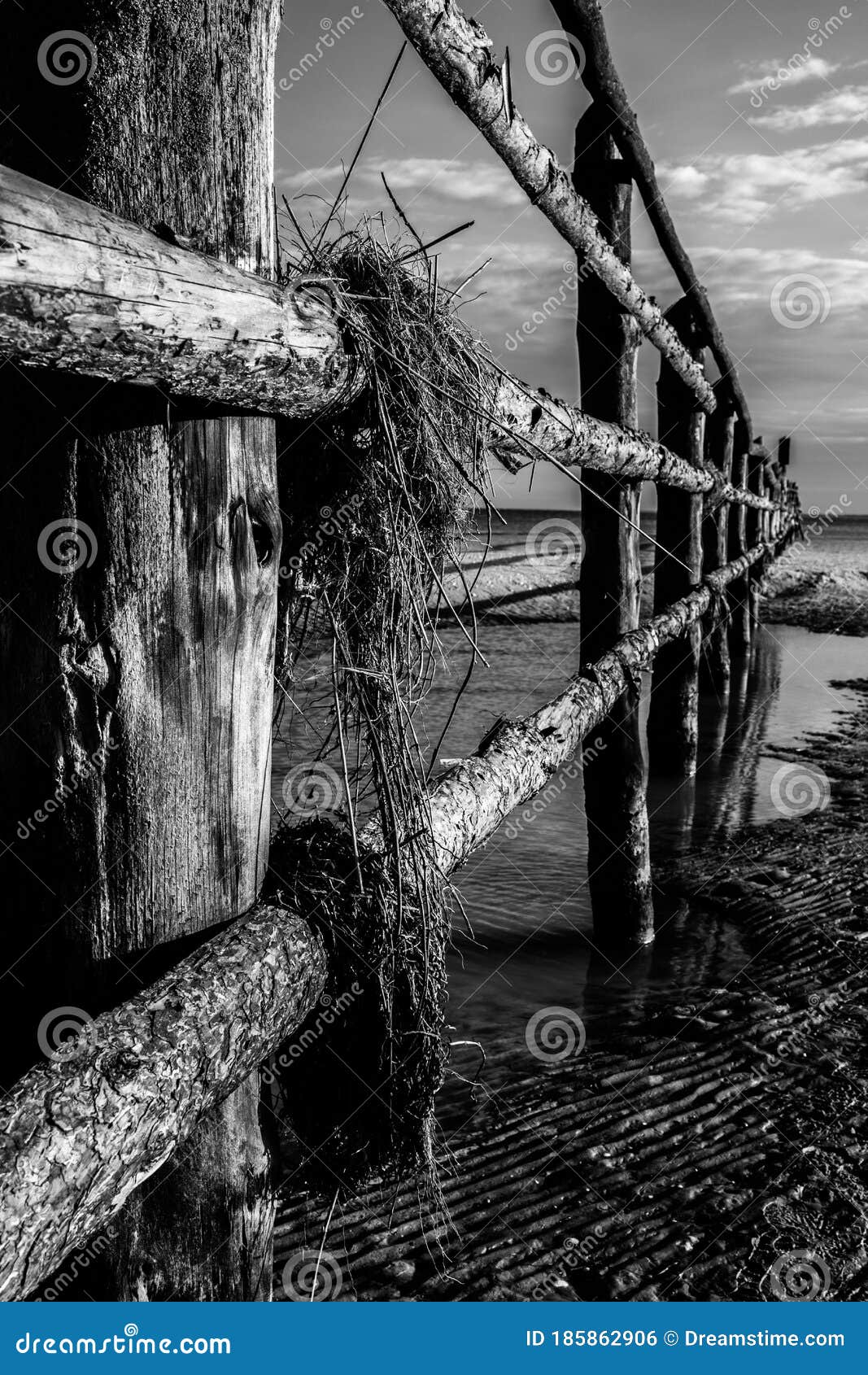 Fence in water stock photo. Image of water, fence, vacaion - 185862906