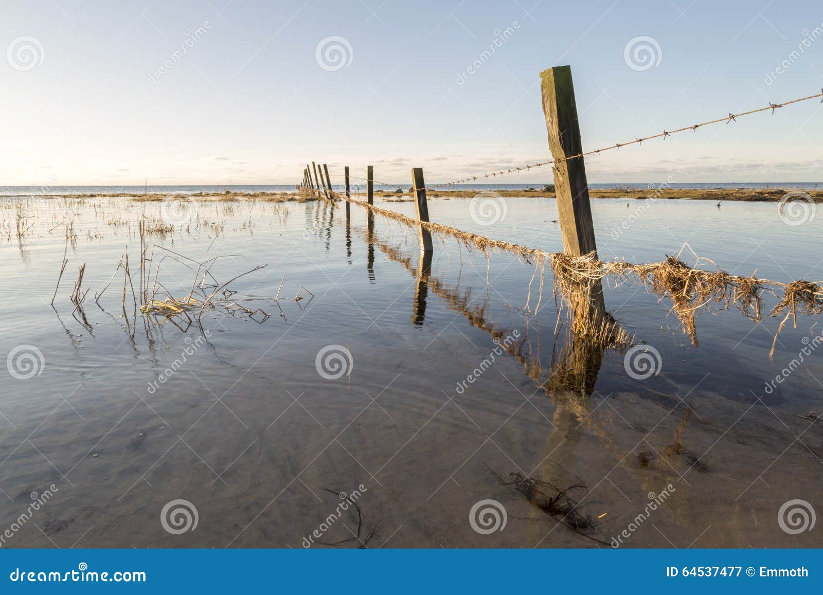Fence in Water stock image. Image of horizon, fence, water - 64537477