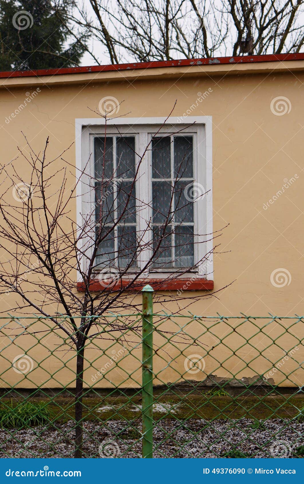 Fence and window stock photo. Image of grid, front, tree - 49376090