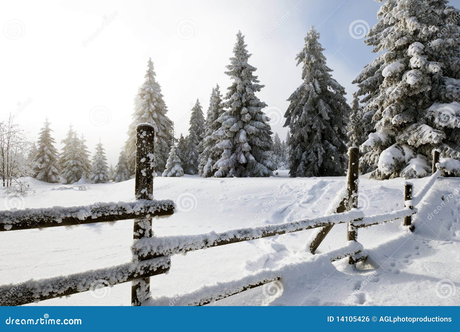 Fence in winter landscape stock photo. Image of fence - 14105426