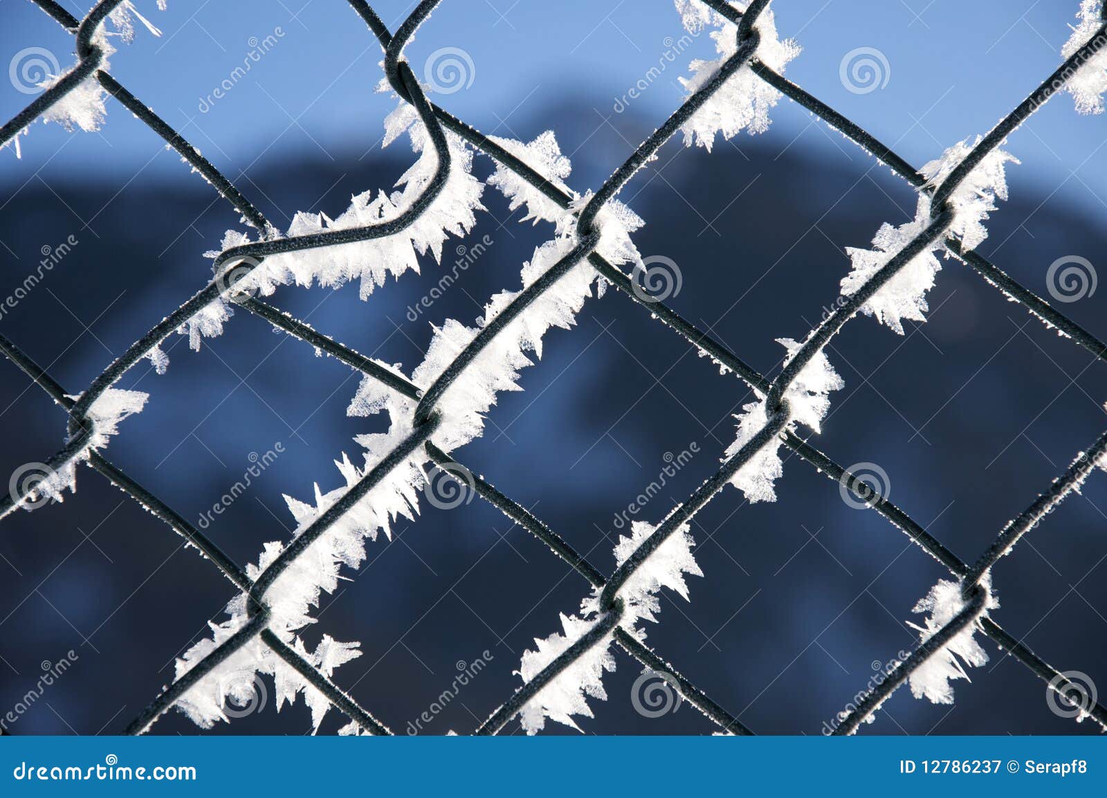 Fence, Winter Texture, Background Stock Image - Image of lattice ...