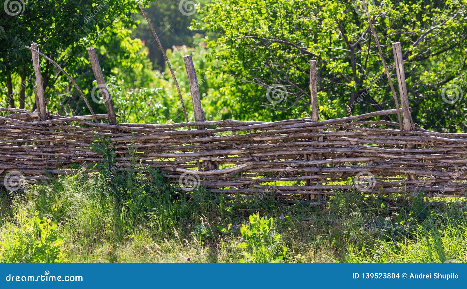 Fence of Wooden Branches in the Garden Stock Photo - Image of detail ...