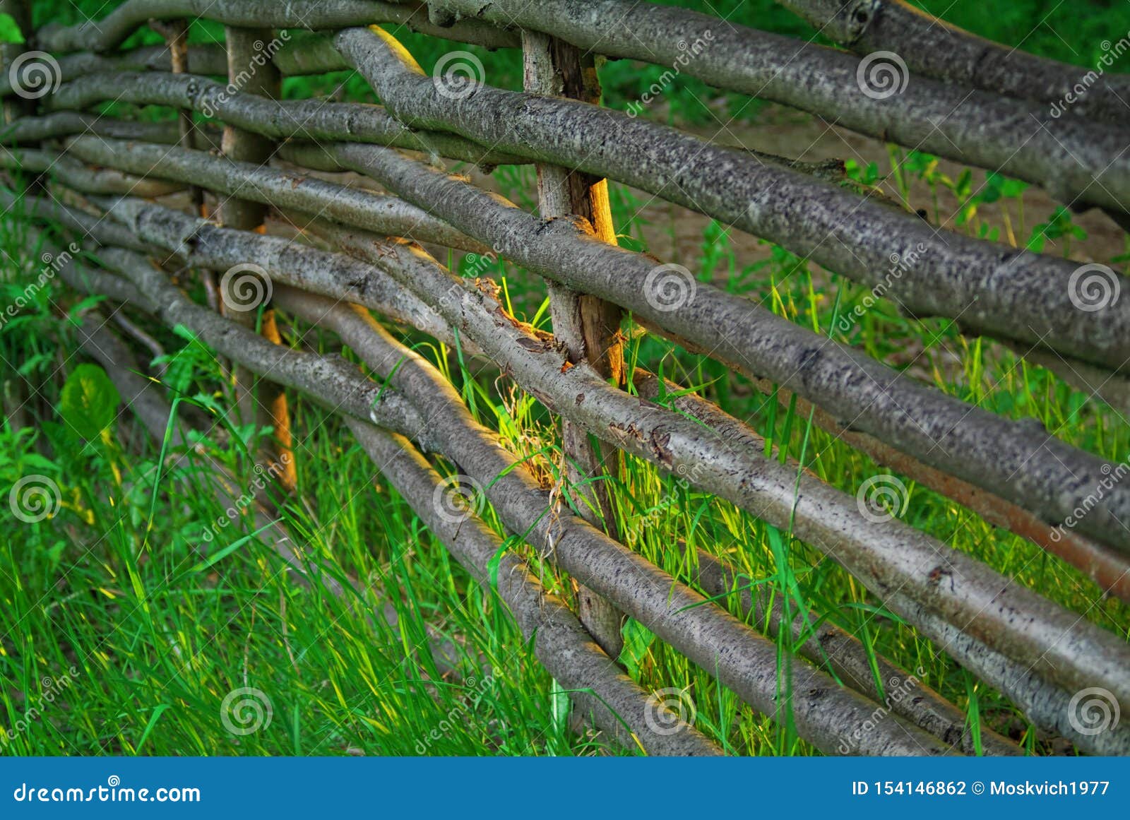 A Fence Woven from Tree Branches in the Evening Stock Photo - Image of ...