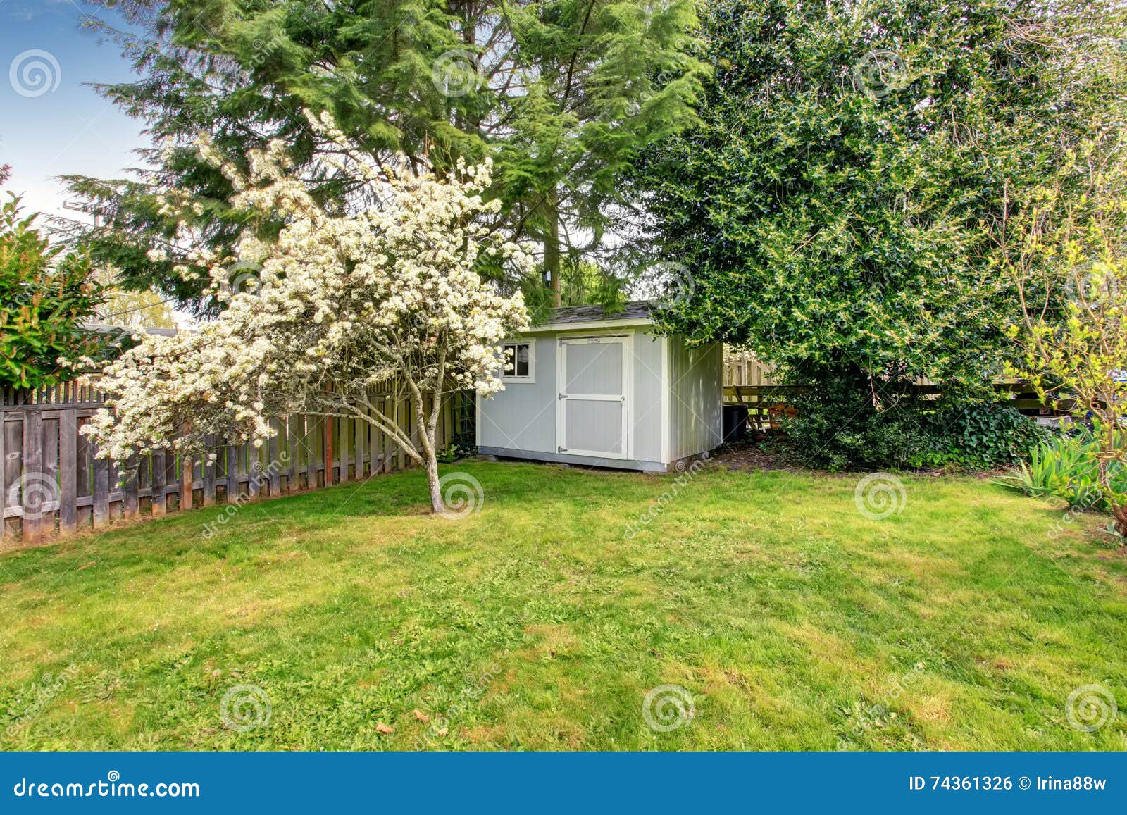 Fenced Backyard with Grass Filled Garden and Small Shed. Stock Photo ...