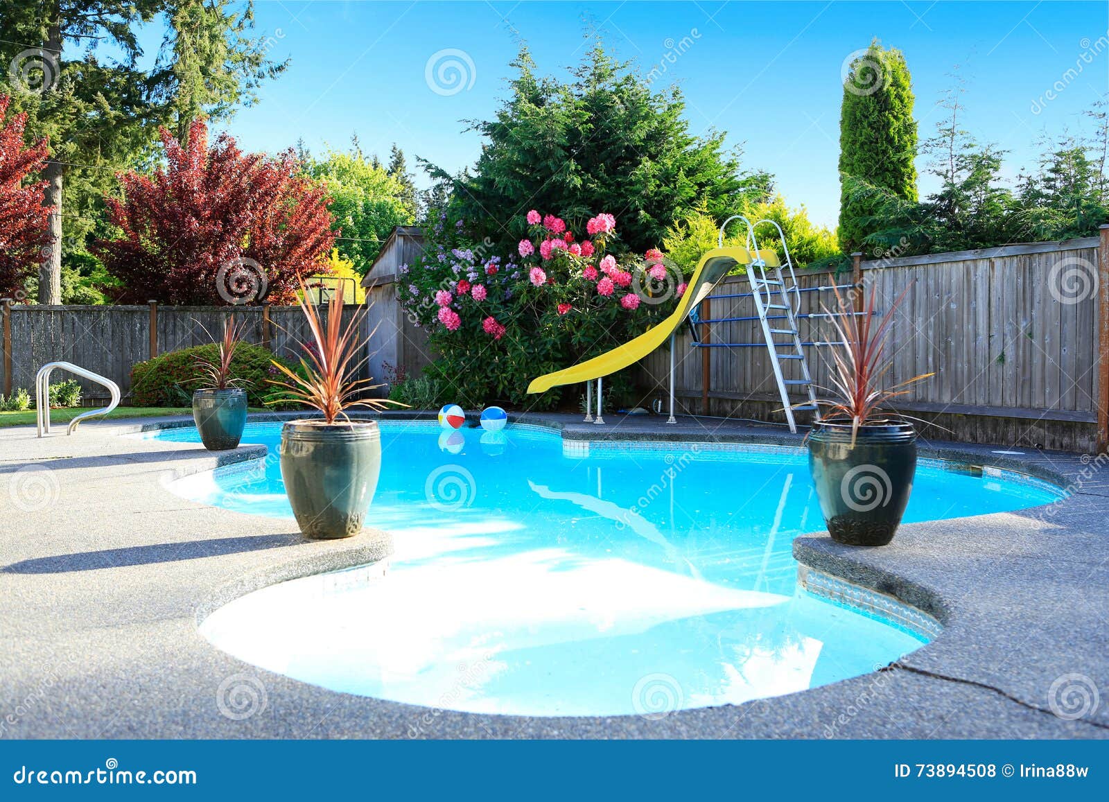 Fenced Backyard with Small Beautiful Swimming Pool Stock Photo - Image ...
