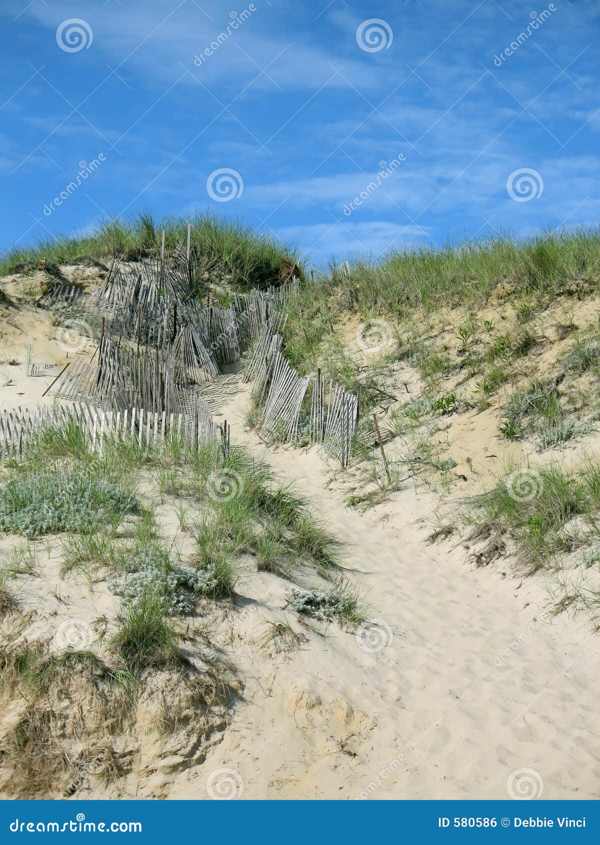 Fenced Dune Walkway stock photo. Image of coast, sand, shore - 580586