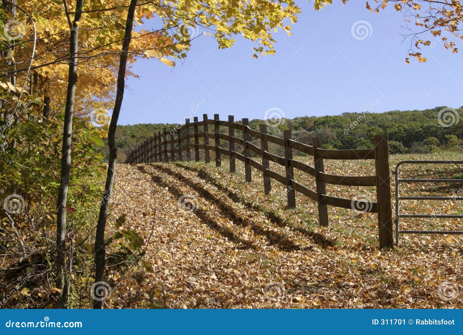 Fenced Farm stock image. Image of grass, farmer, autumn - 311701