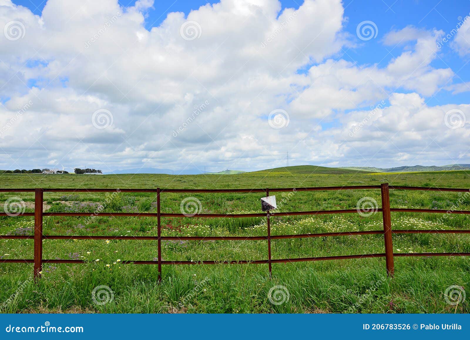 Fenced field stock photo. Image of grass, andalusia - 206783526
