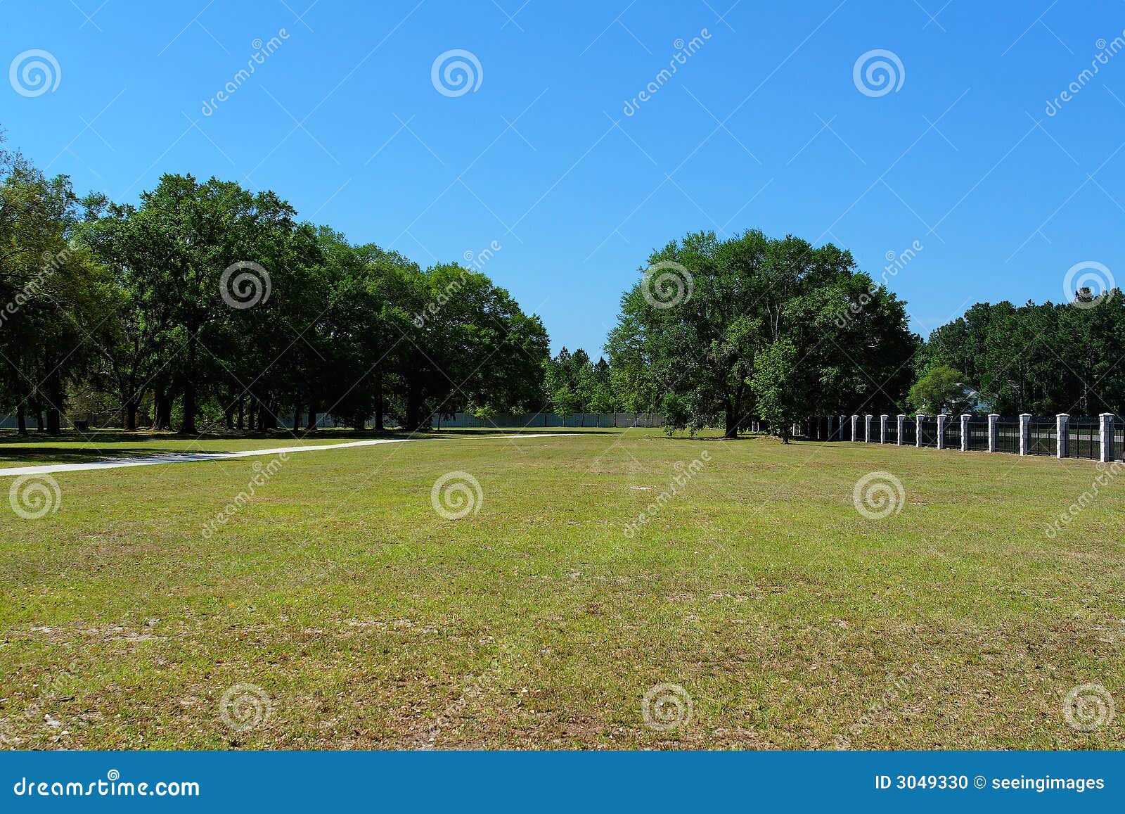 Fenced field stock photo. Image of green, flat, nature - 3049330