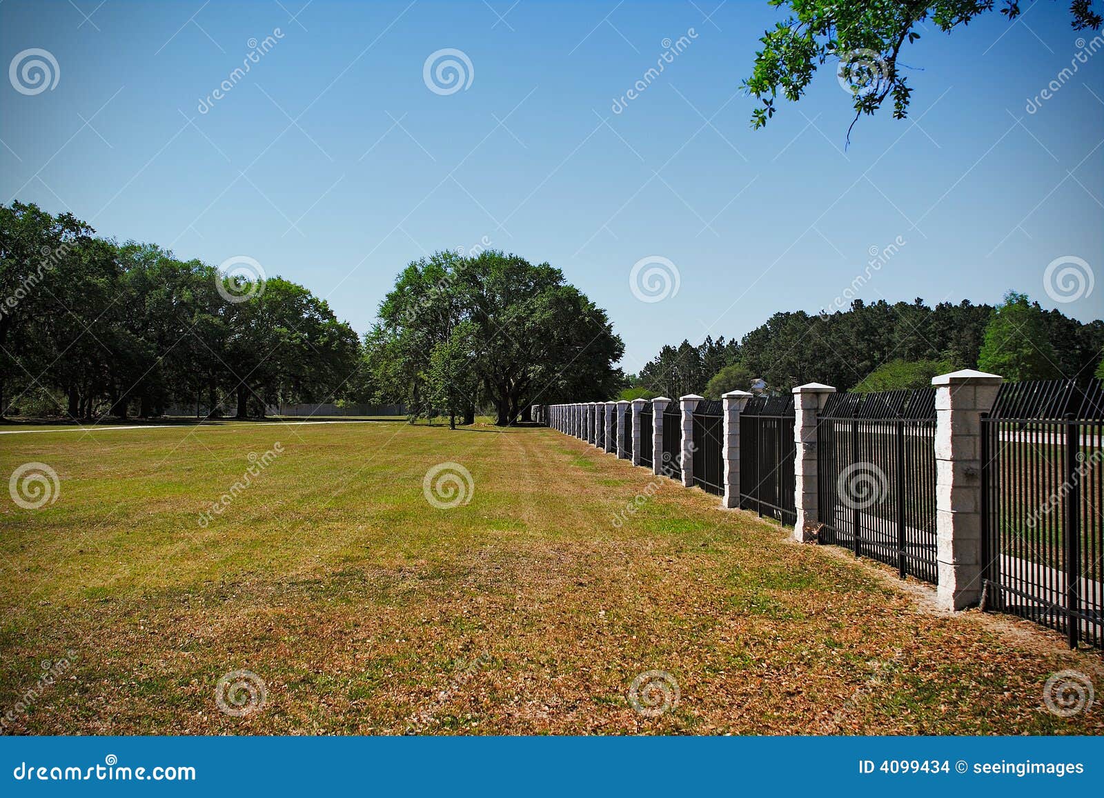 Fenced field stock photo. Image of landscape, light, daylight - 4099434