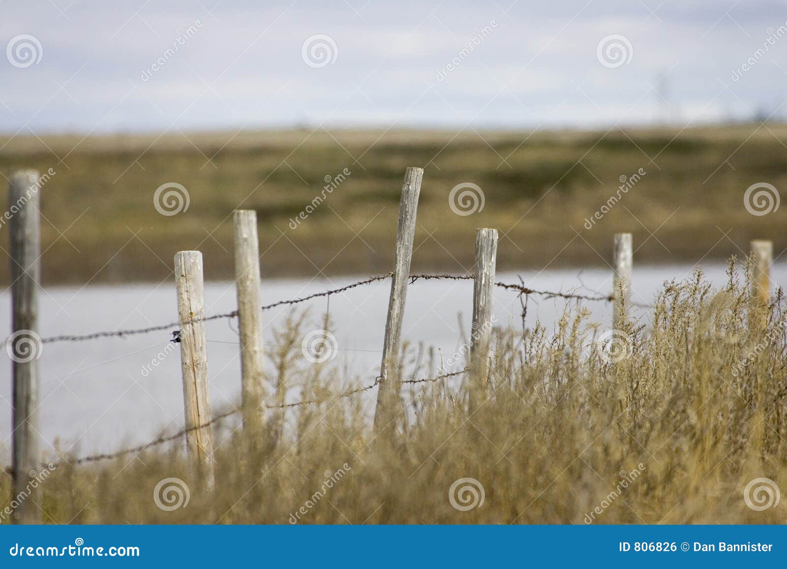 Fenced Field stock photo. Image of perimeter, cloud, barb - 806826